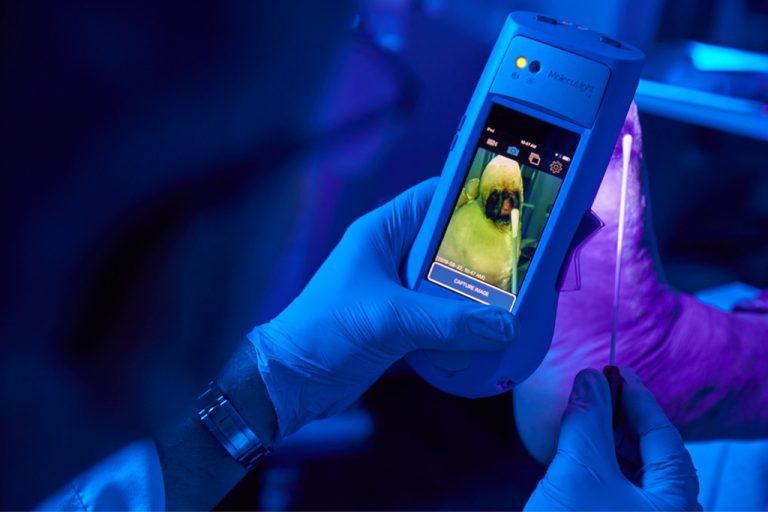 MolecuLight | Innovation Medical Group